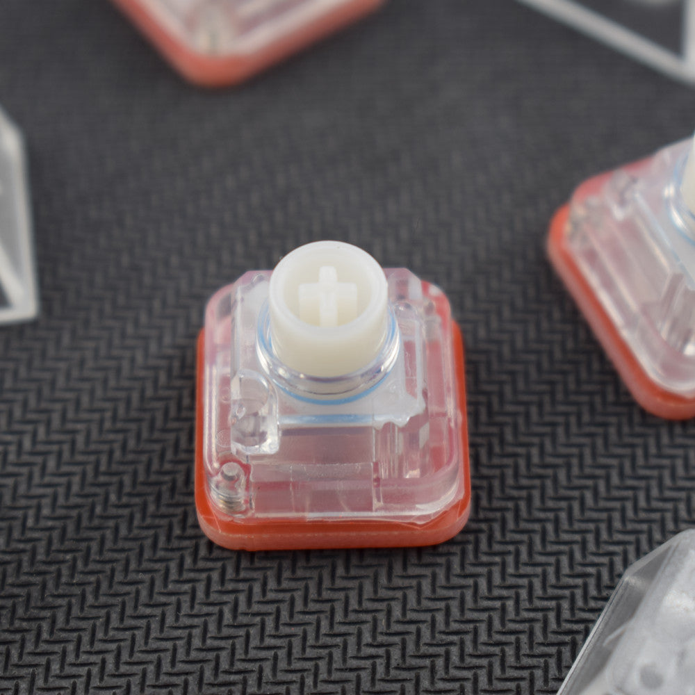 EC SWITCH EXPERIENCE 35g/45g – NIZ Store