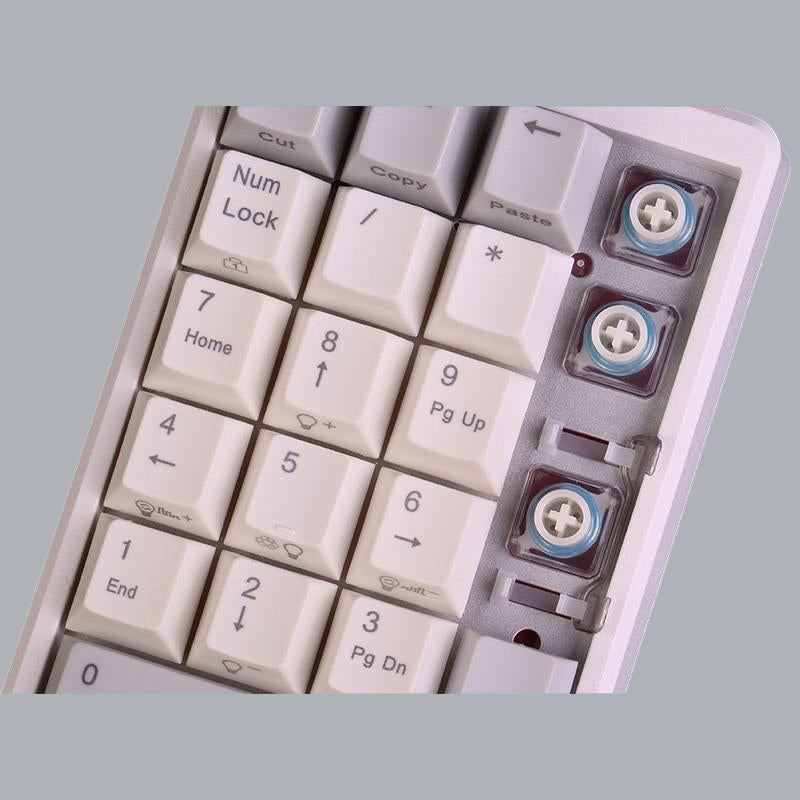 NIZ 21 Keys White – NIZ Store